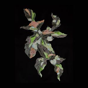 Test – Pariskrta